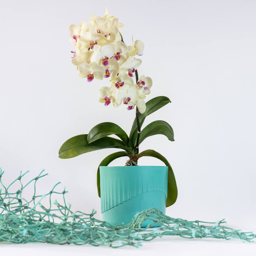 Ecotribo - BS4 Arts Trail