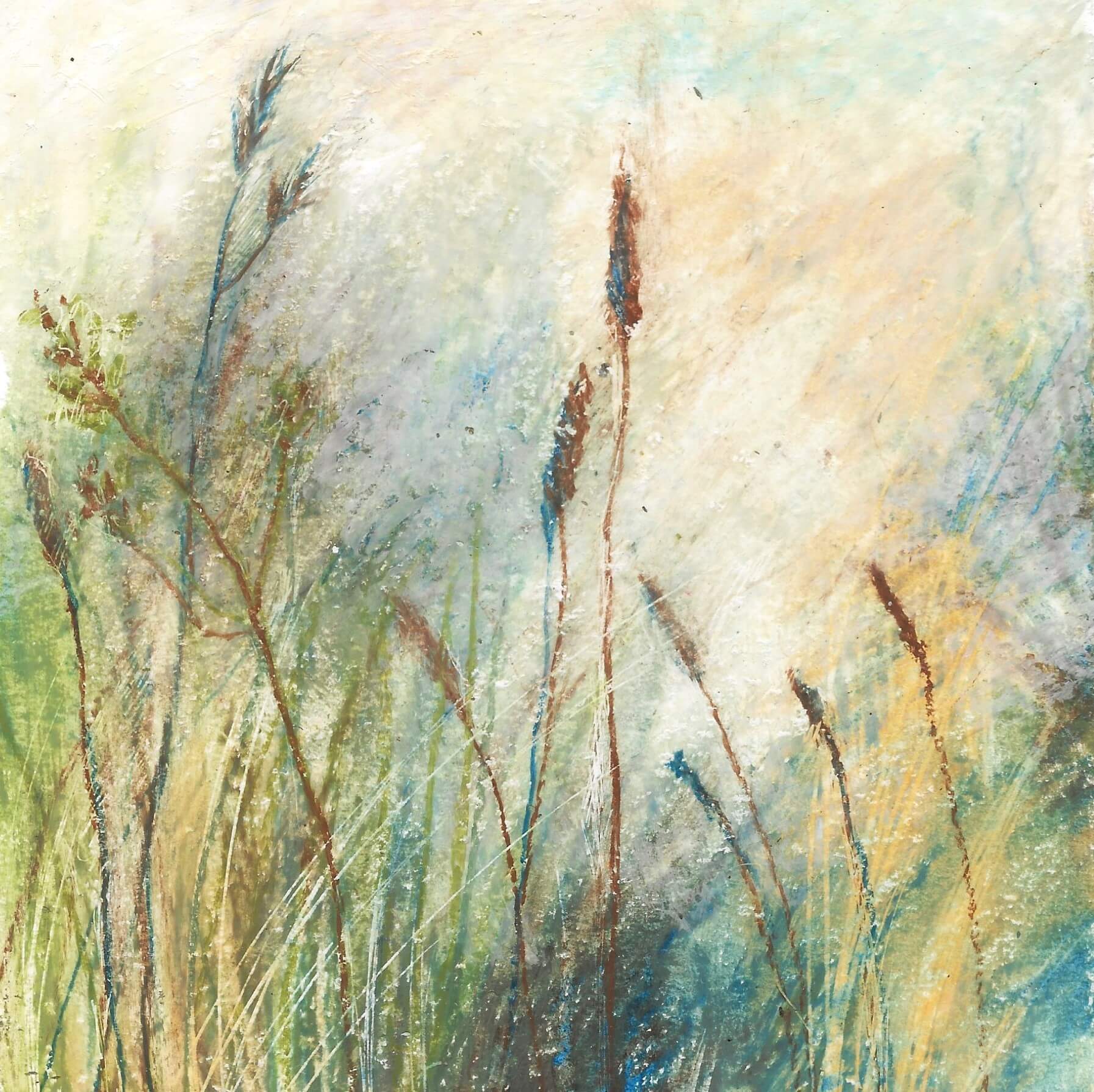 Sharon Curtis-White - BS4 Arts Trail